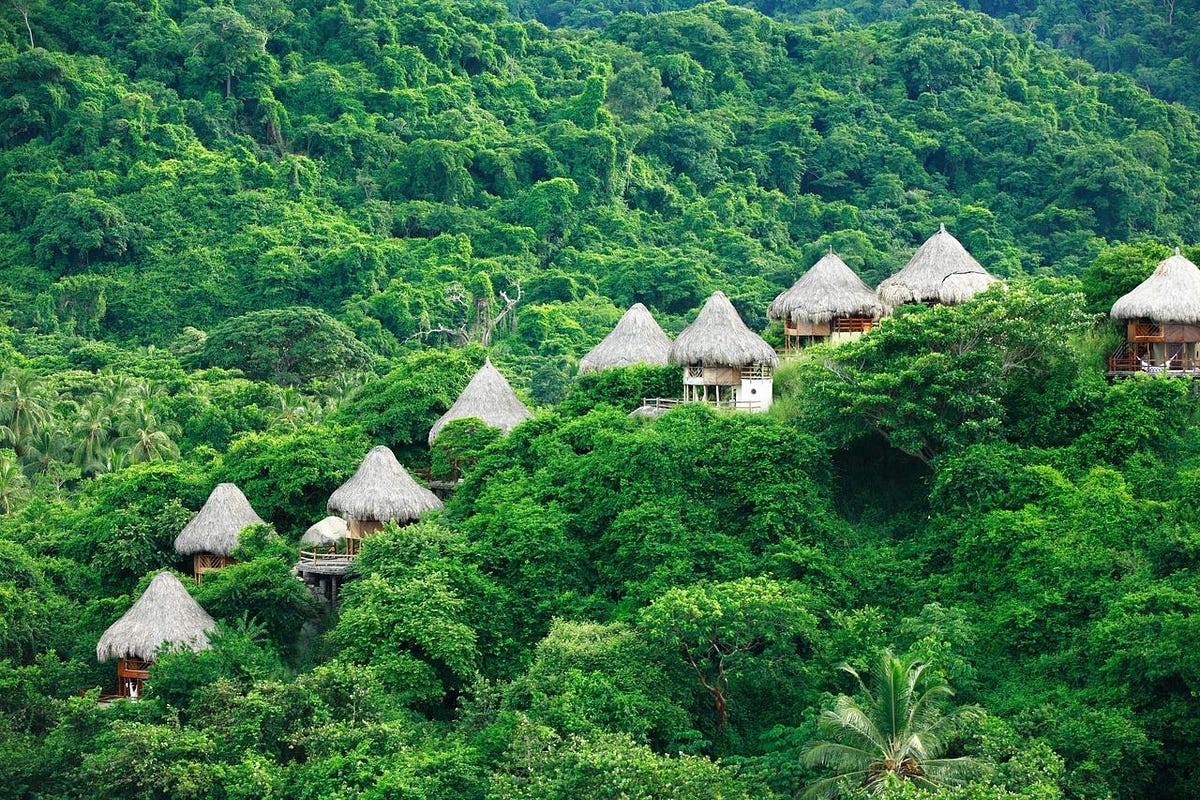 Colombia, the destination ecotourism fans must visit. | by Yoplan | Medium