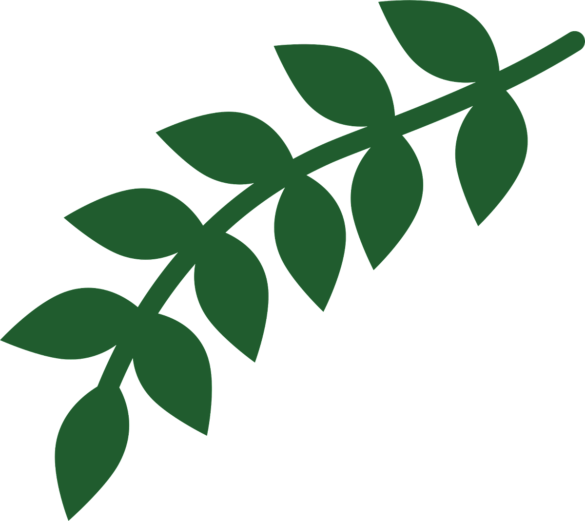 How To Create A Stem And Leaf Plot In Python And R By Tracyrenee 3560