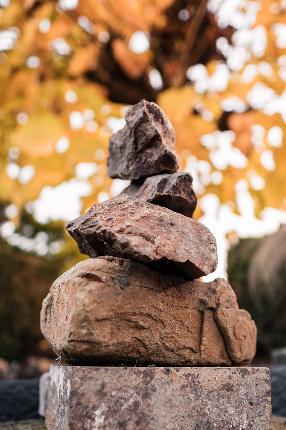 The Family Stone that Meets Flesh | by Presley Thomas | New Body | Medium