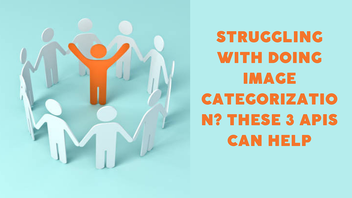 Struggling With Doing Image Categorization? These 3 APIs Can Help | by TheStartupFounder.com ...