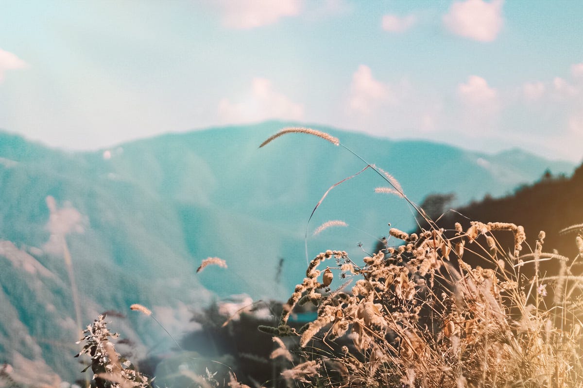 Non Fiction Writing Prompts Week Twenty Three By Chelsea Marie 