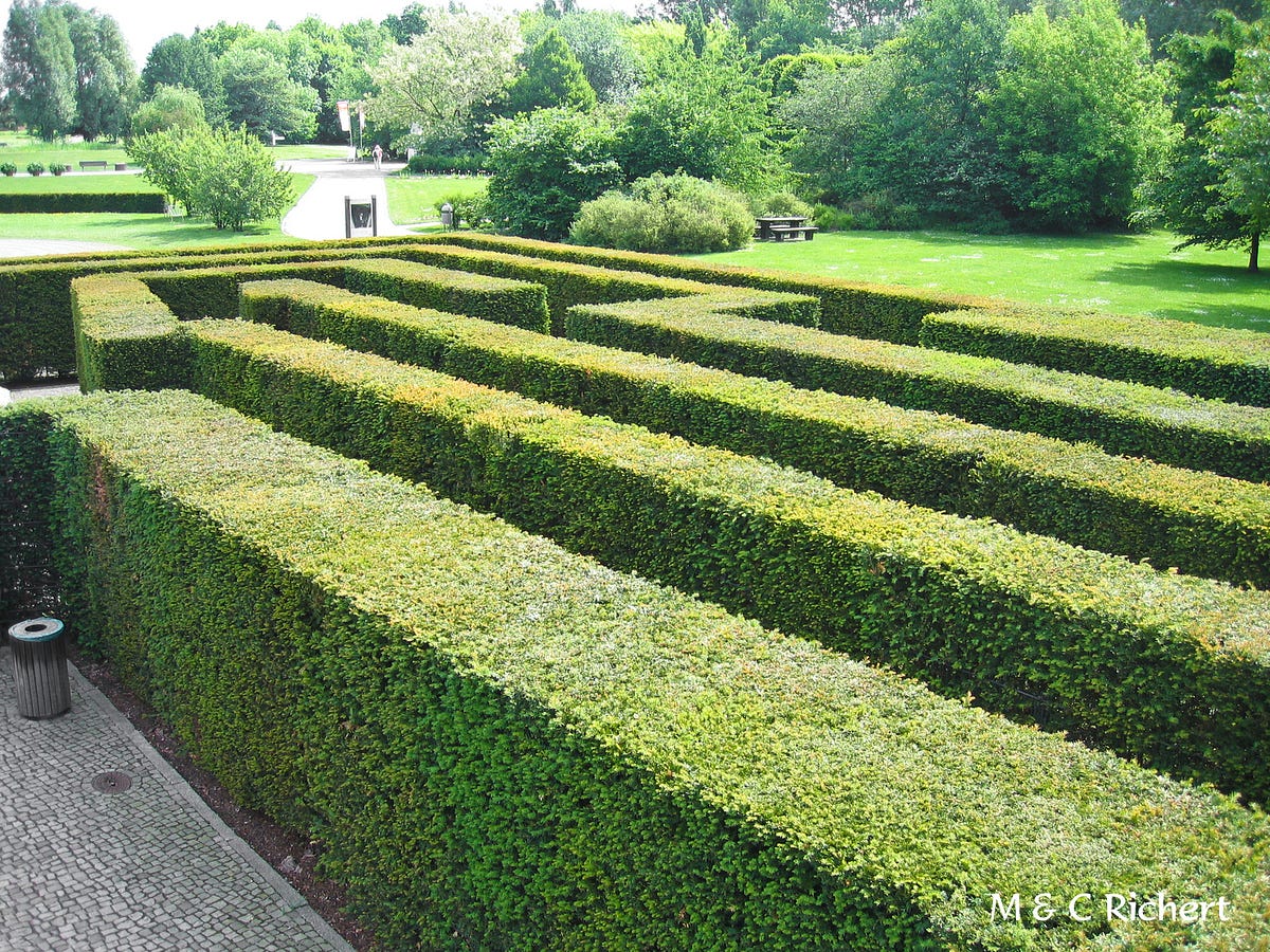 Ah hedges, us Brits love hedges!. There are millions of miles of ...