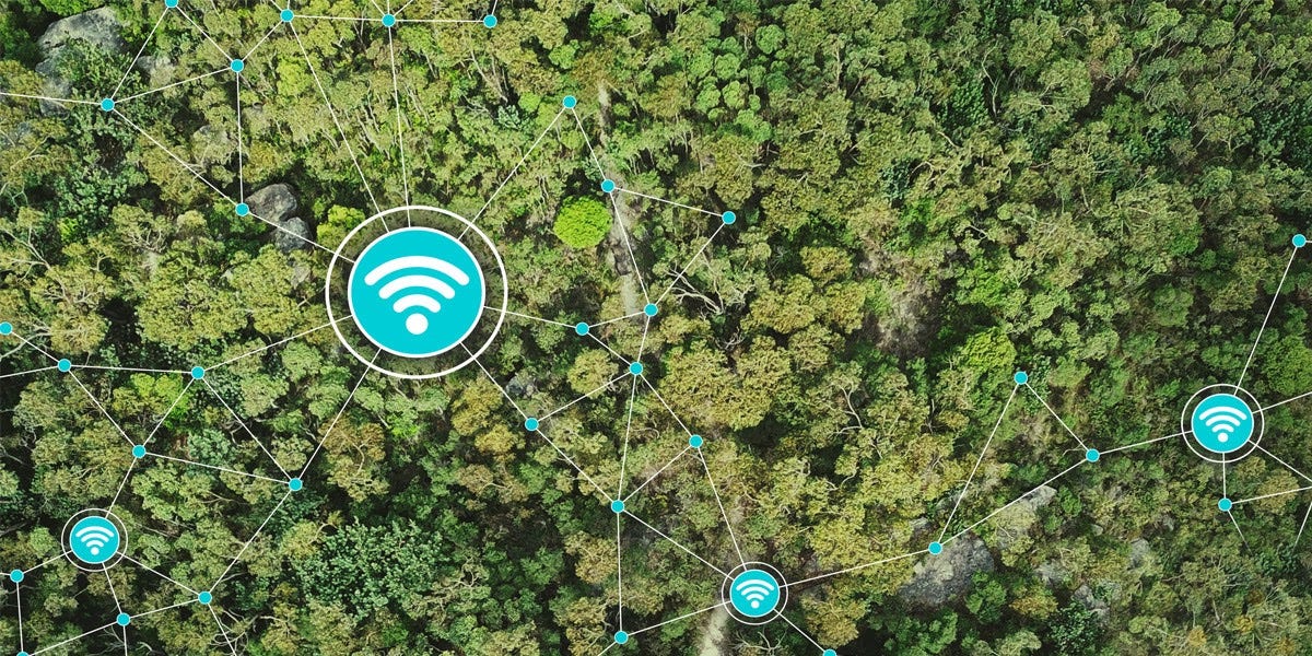 Protecting Forests with the Help of Artificial Intelligence | by Roshni ...
