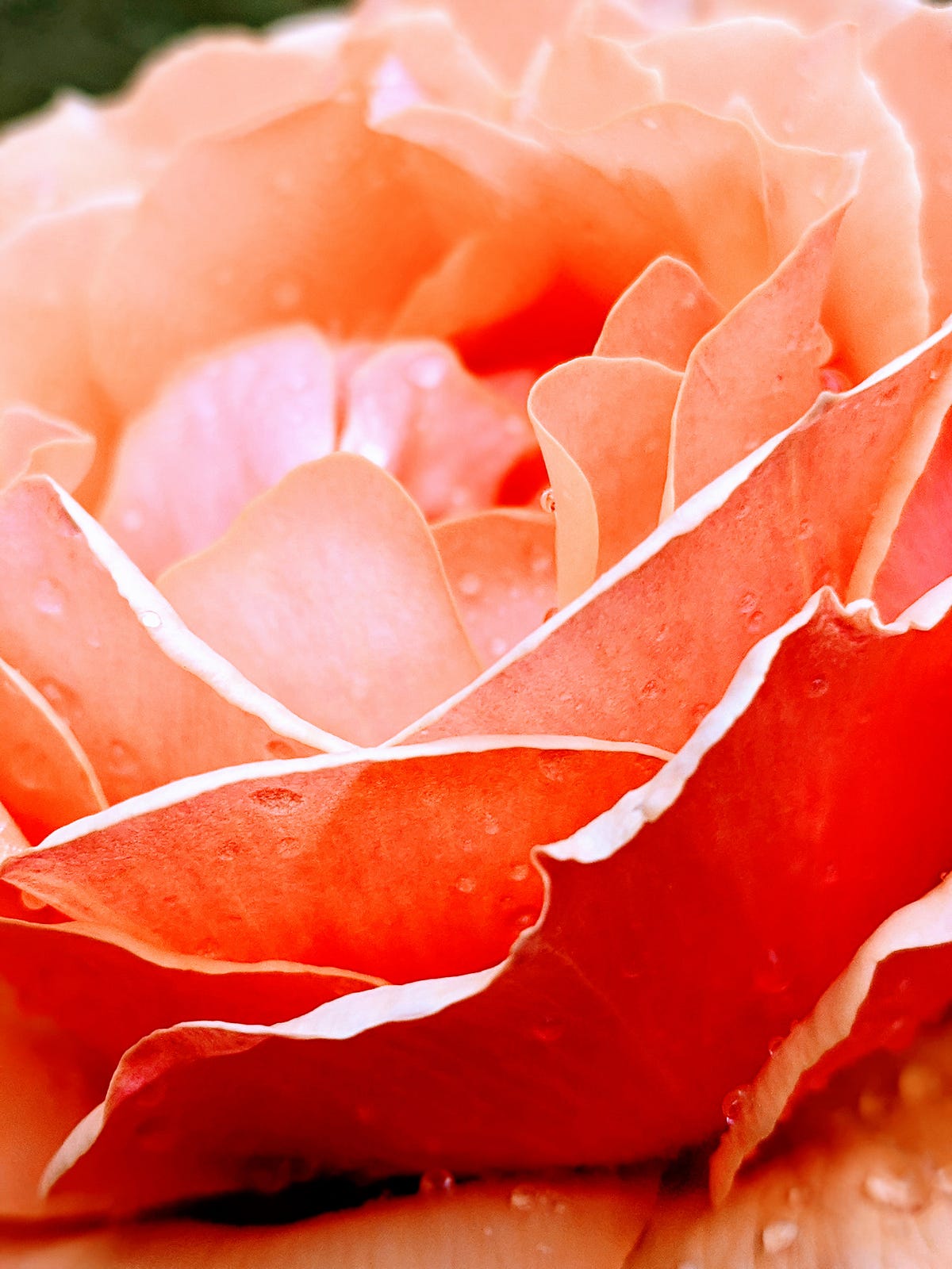 Poetry Writing Prompts Week Twenty Five By Chelsea Marie The