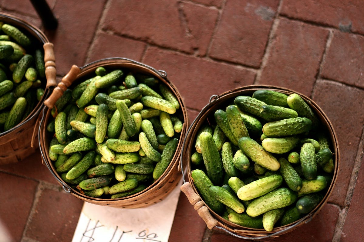 November 14 is National Pickle Day For All the Pickle Lovers | by Cathy ...