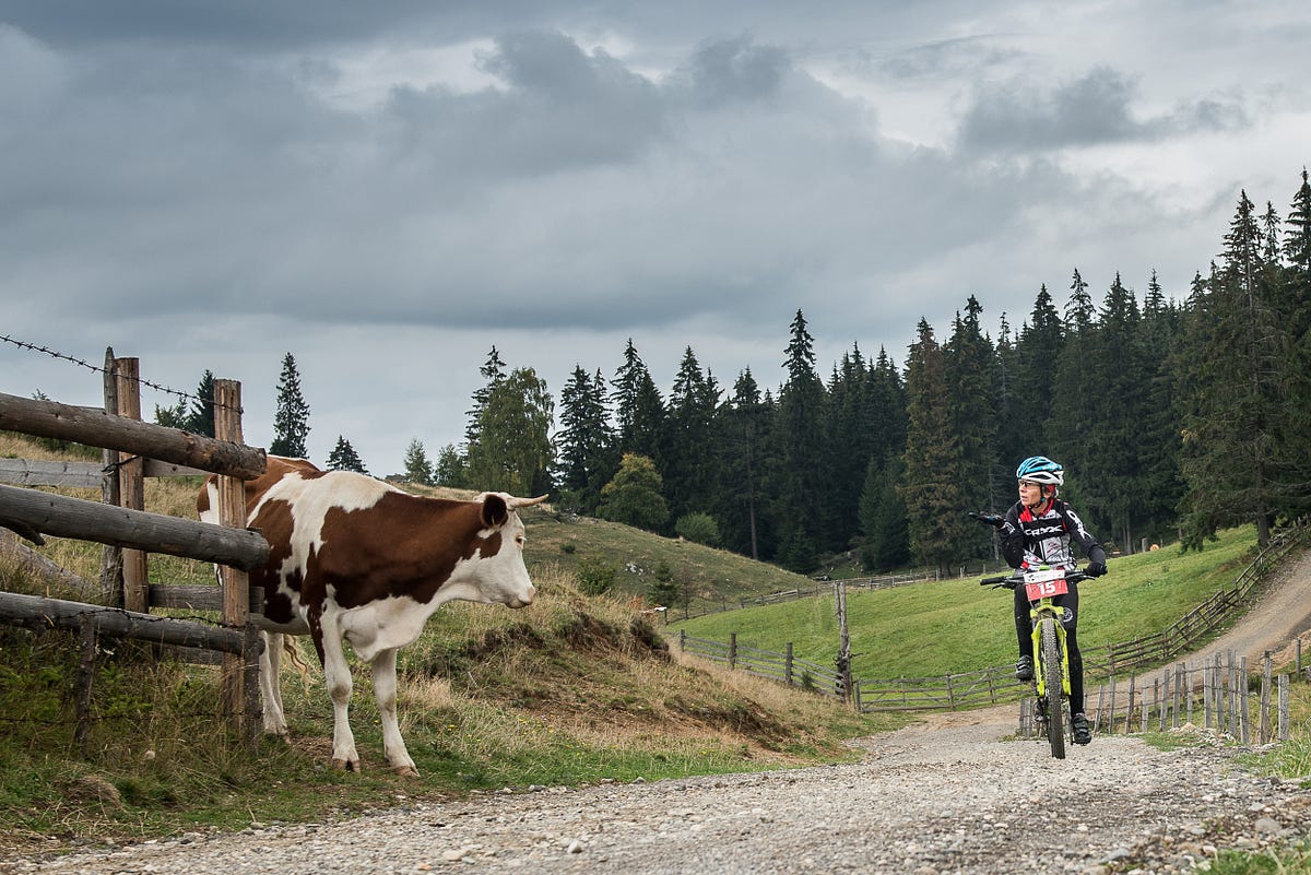 Wild, Rugged Romania: The Carpathian Mountain Bike Epic | by Catriona ...