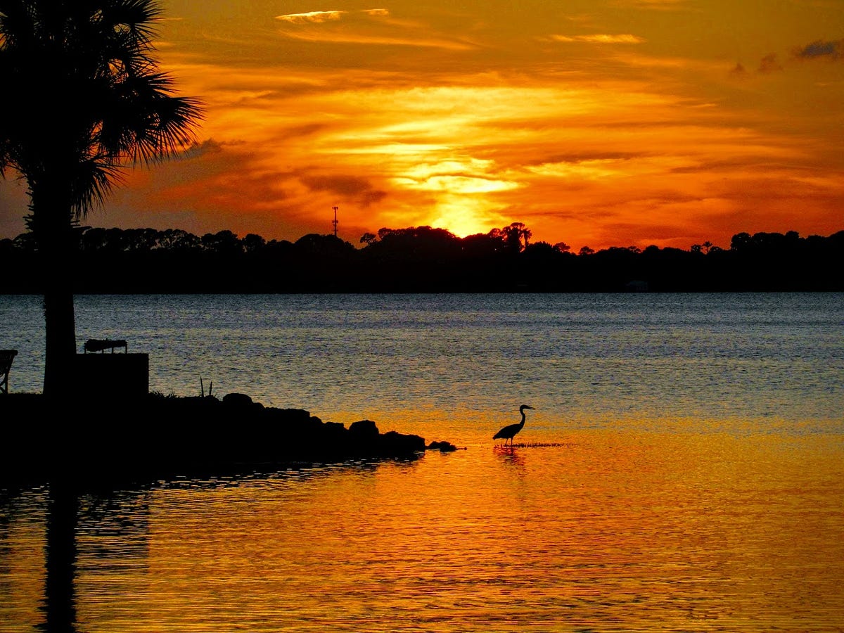 My Sunset. Nature’s canvas | by Dennett | Weeds & Wildflowers | Medium