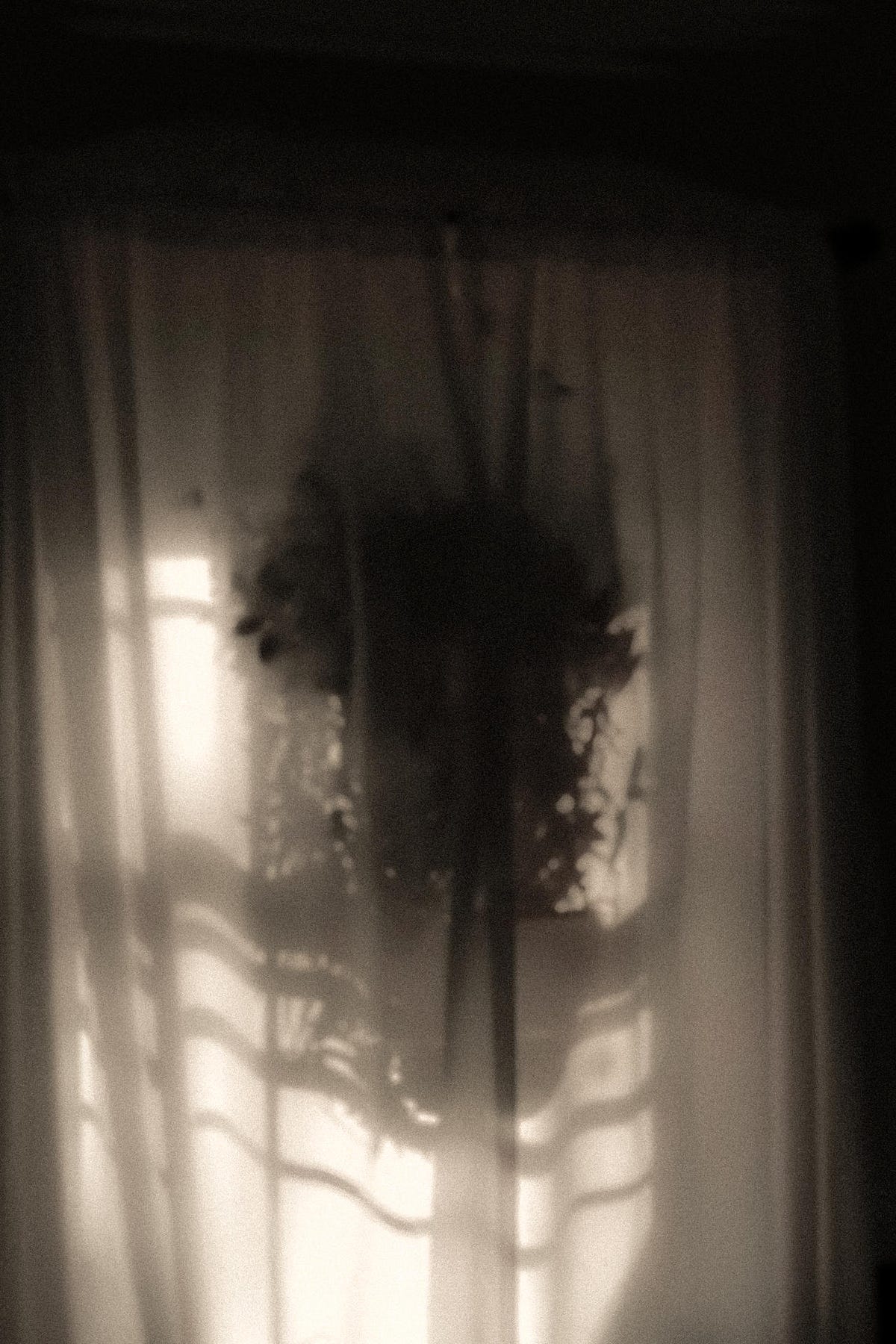 Thin Veil - Forest Full of Trees - Medium
