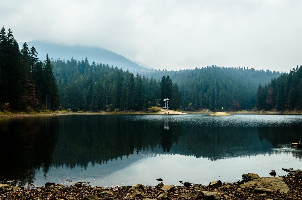 Rivers of Ukraine. The main rivers of Ukraine | by C. L. Beard | Weeds ...