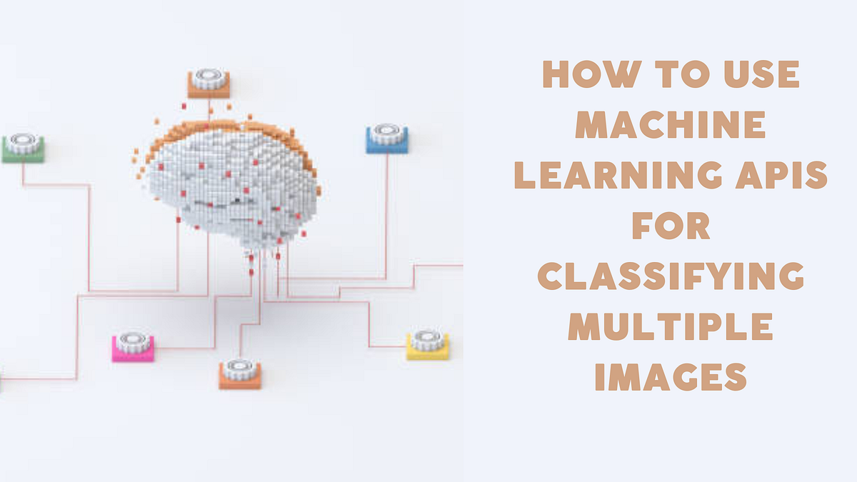 How To Use Machine Learning APIs For Classifying Multiple Images | by TheStartupFounder.com ...