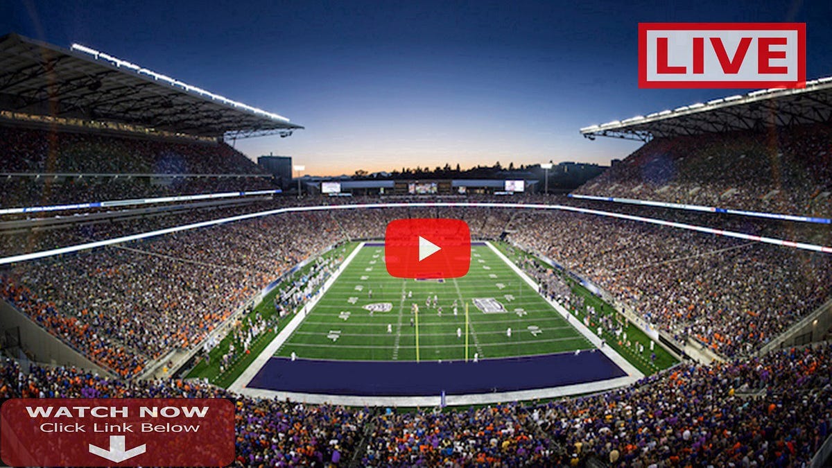 LSU vs FLORIDA — Live Stream 🔴 Online HD TV Channel | by alamin hossain ...