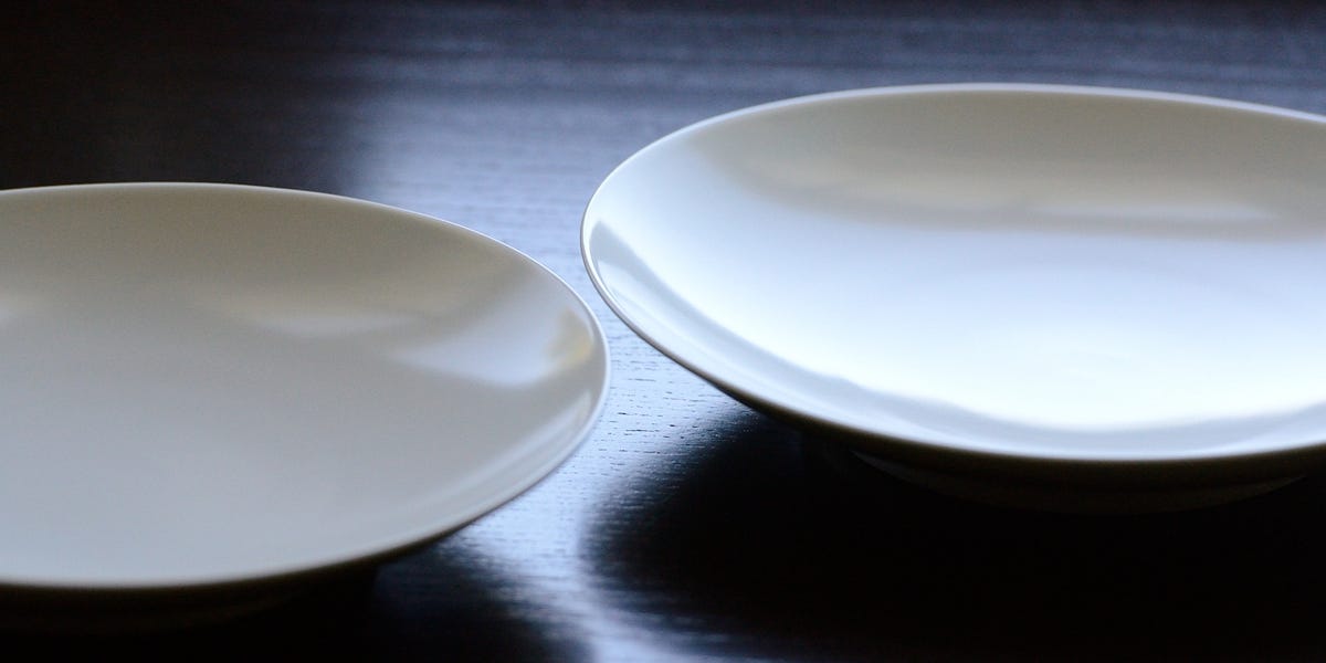 Two Plates. On balancing freedom and comfort. | by J. David Stein | Medium