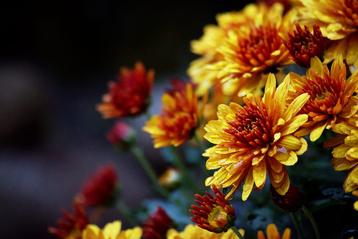 To Get Rid Of Something Bad You Must First Allow It To Thrive By