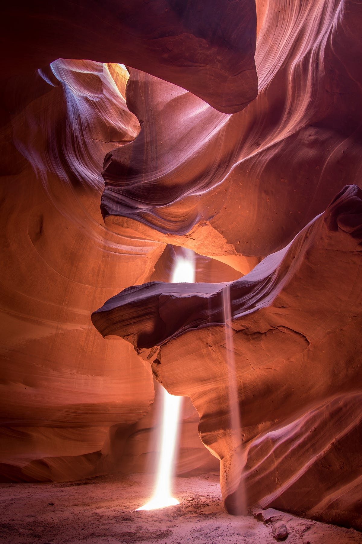 Backfire; Poetry; Roxanne Barbour; | Medium