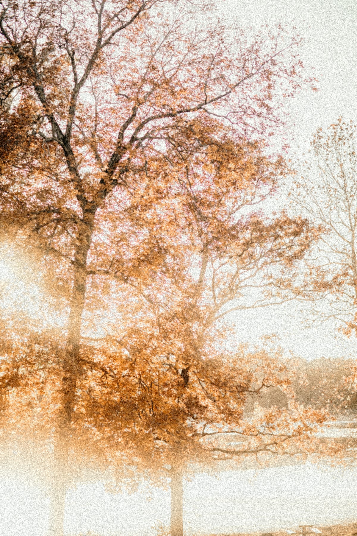 Autumn Dying Part 2 - Scribe - Medium