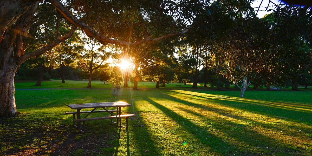 Urban Green Space and Water Conservation: Can We Have Both? | by SWAN ...