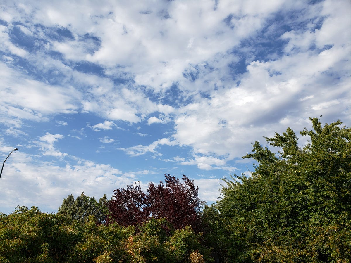 Sun, Shade, Sky, and Business. My week in photos: July 16–22 | by ...