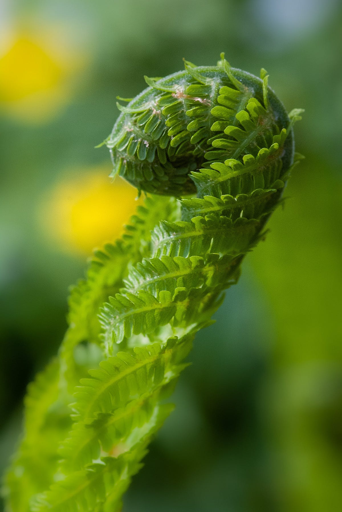 April Arrives: Haiku. whimsical winsome | by Emily Swan | Pandemic ...