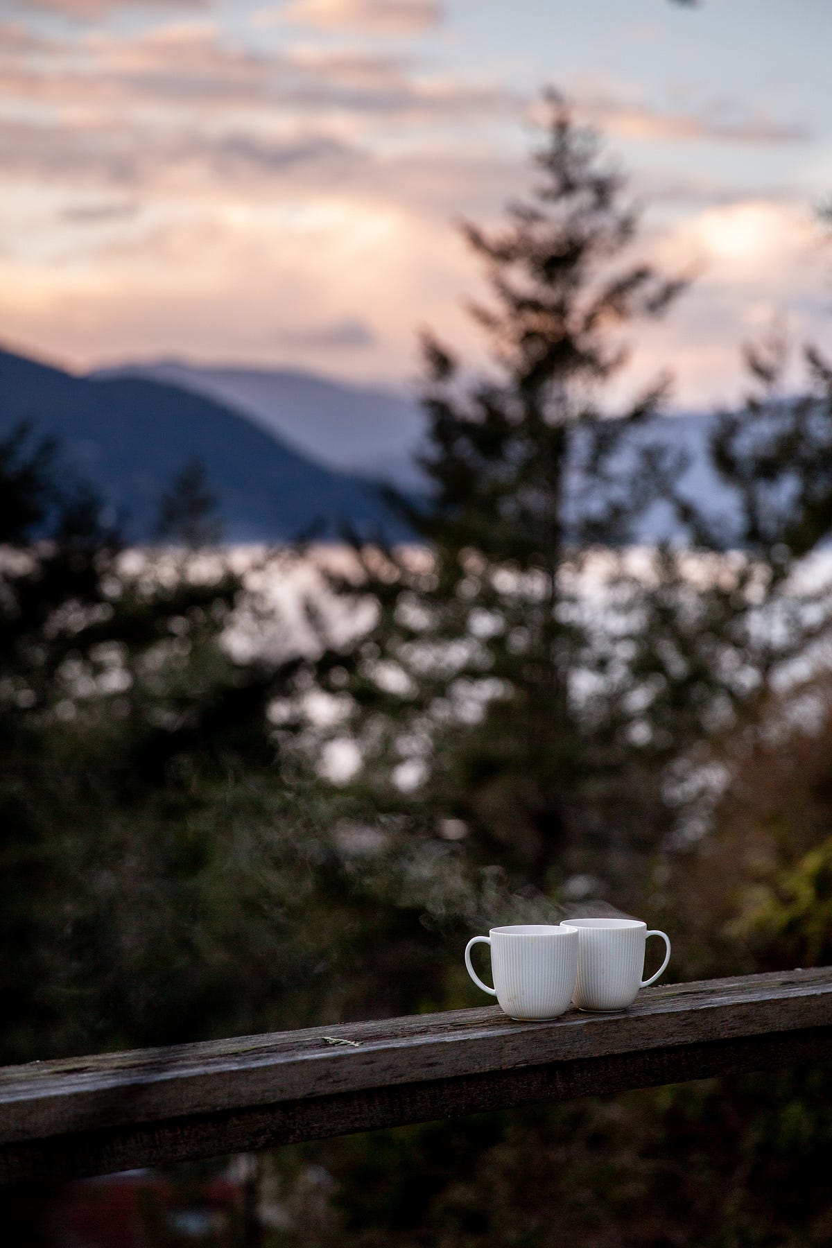 The Parts We Share. A poem about accepting and honoring our… | by ...