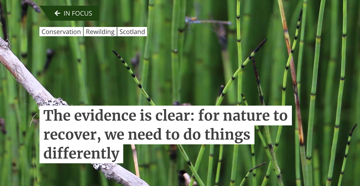 Kaitiaki Consulting’s political ecologist Dr Scott Leatham on why we ...