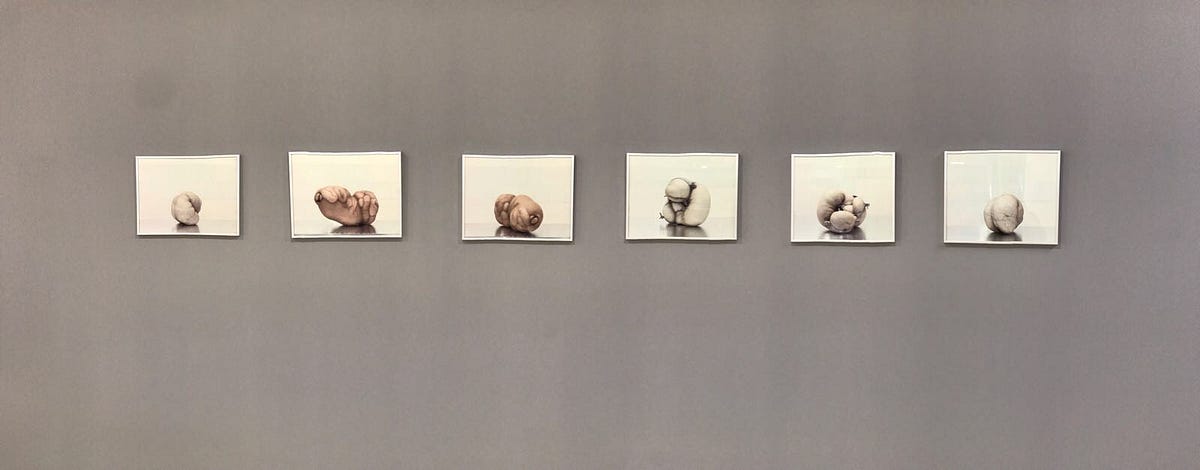 Arte abyecto en la UMH. “Lo hermoso es asqueroso y lo asqueroso… | by ...