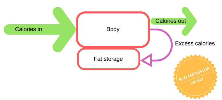 Lose Weight by Using the Right Metaphor - Food equals Health - Medium