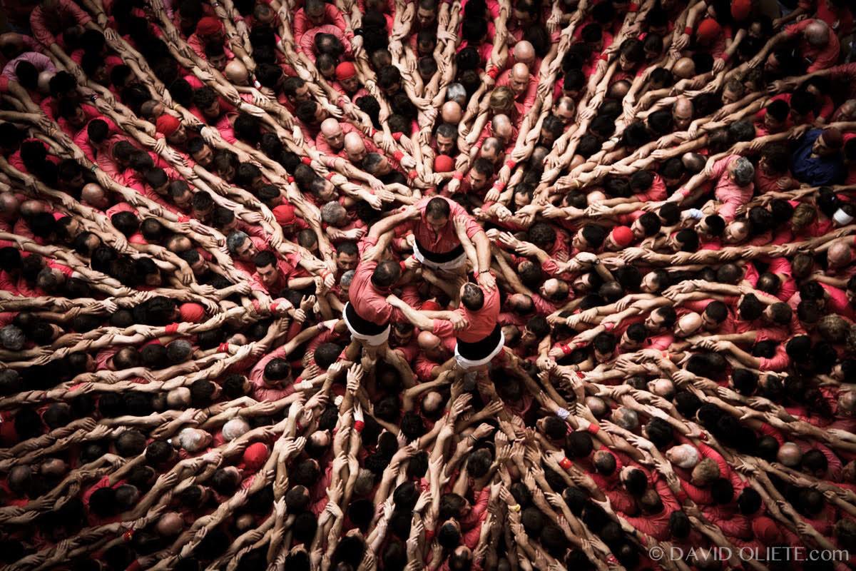 Building the Blockchain Human Swarm | by Michael Haupt | Society 4.0 ...