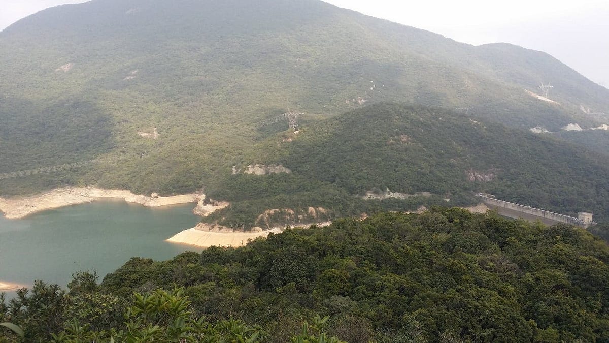 Tai Tam Country Park Biodiversity | by WWF HK | Panda blog @WWF-Hong ...