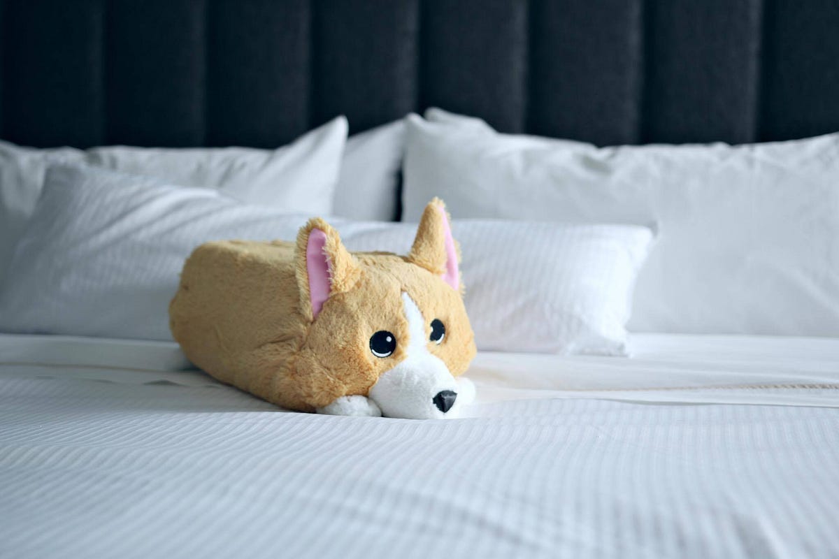 An Interview with Memory Plush. Austin, Texas, has quickly grown to be ...