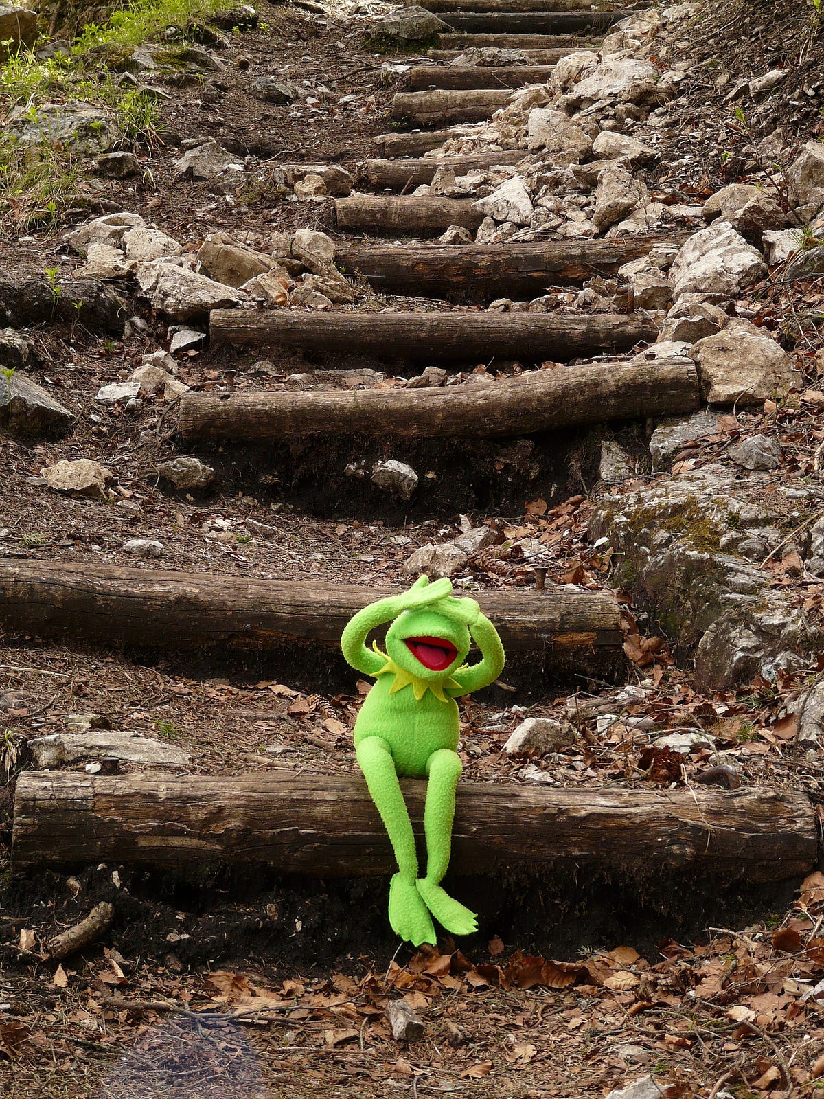 The Darker Side of Sesame: Burned Out Muppets Speak their Truth | by ...