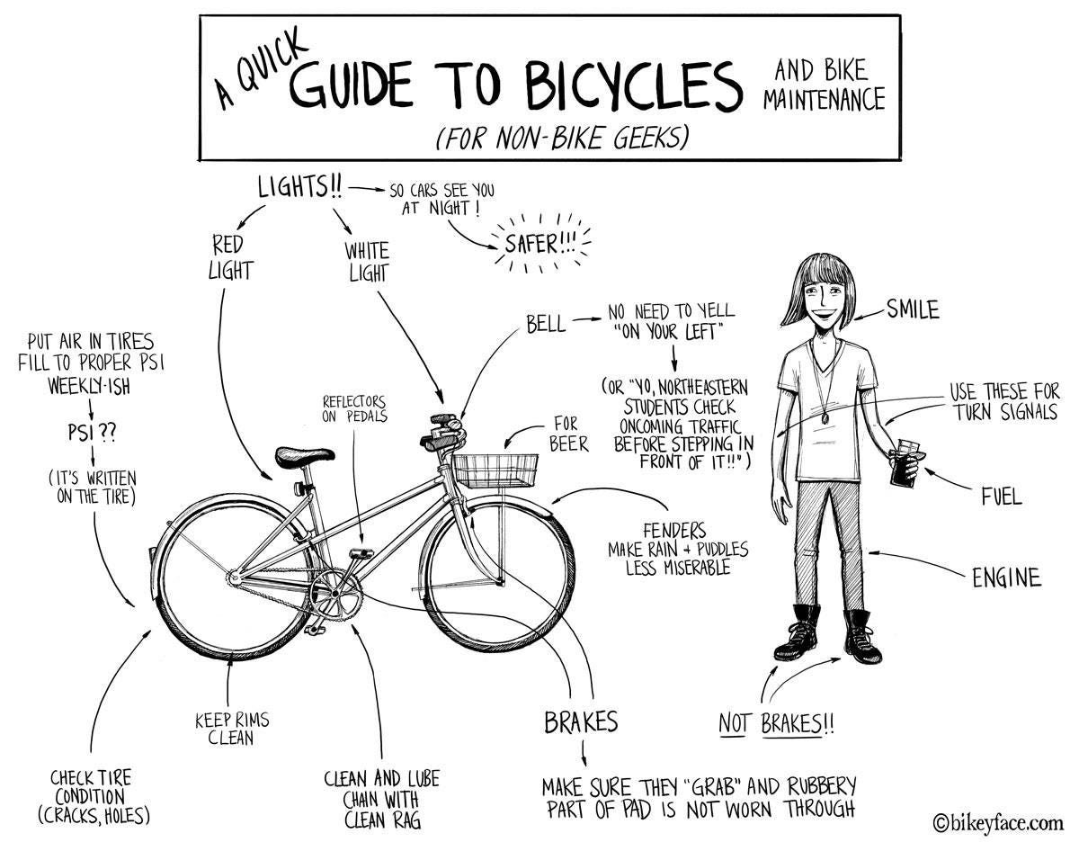 Bicycle User Survey (2018). in an effort to understand their… | by ...