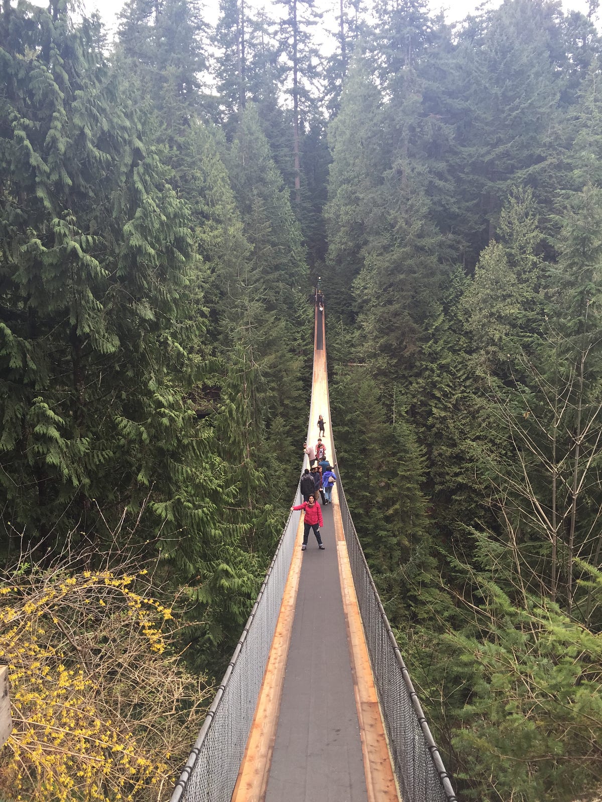 Capilano Bridge. Hoje fomos conferir a famosa Capilano… | by Graziela ...