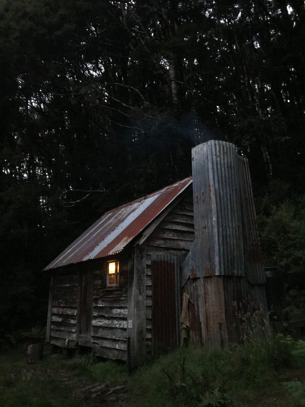 THE LONGWOODS (day 6). After staying in Martins Hut (a… | by Billy ...