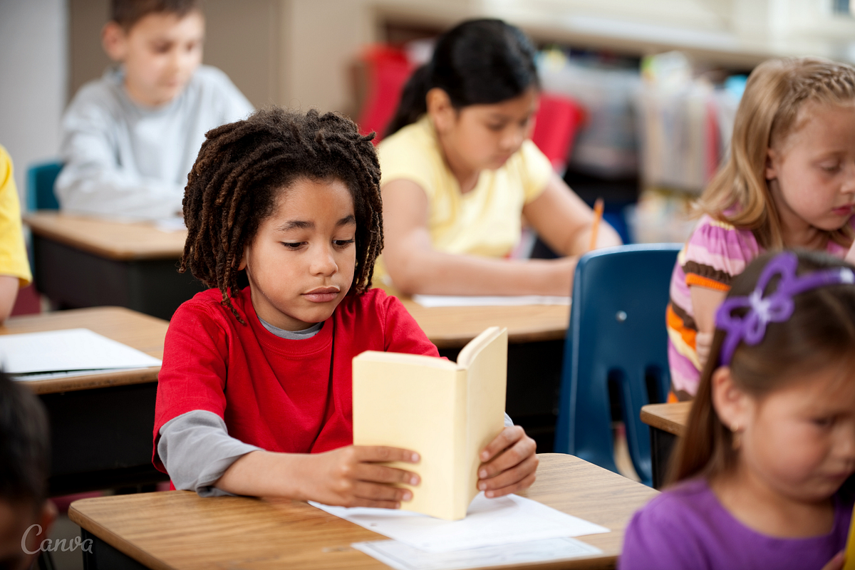 Ensuring student access to diverse representations in literature | by ...