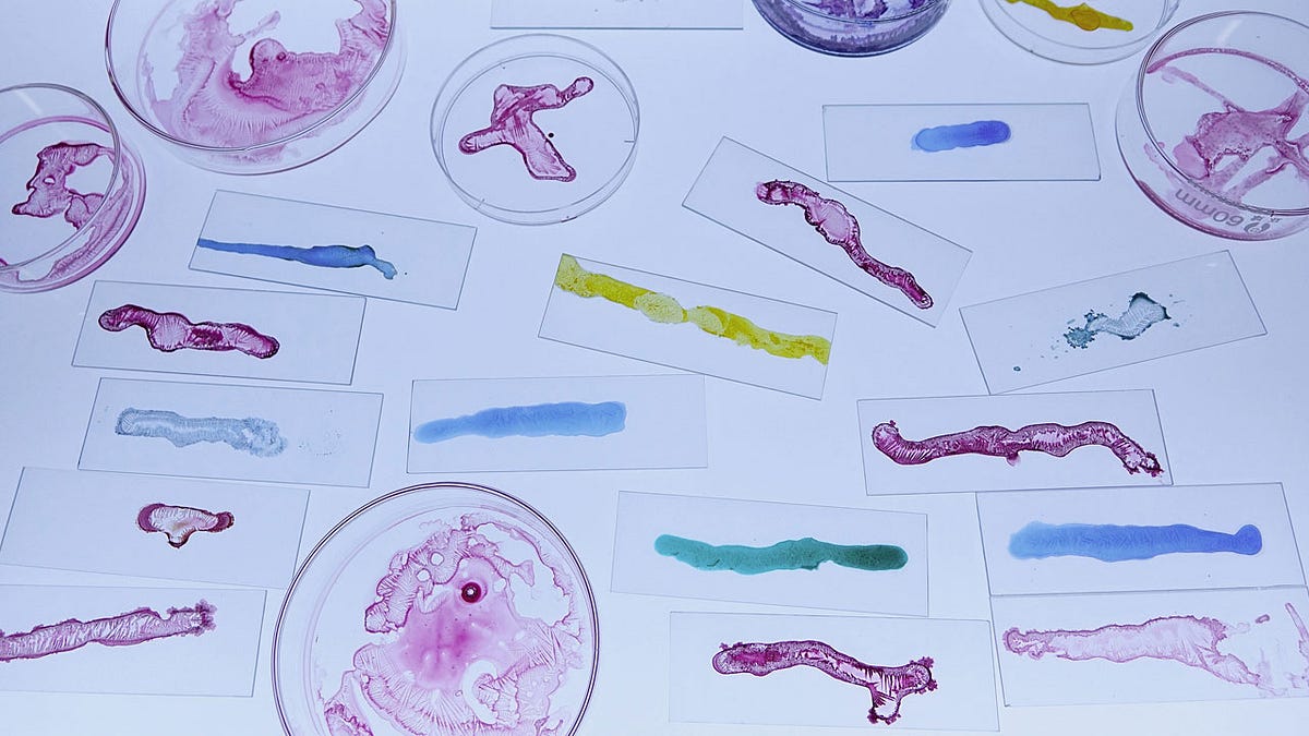How Ordinary Things Transform Into A Magical World Under The Microscope ...