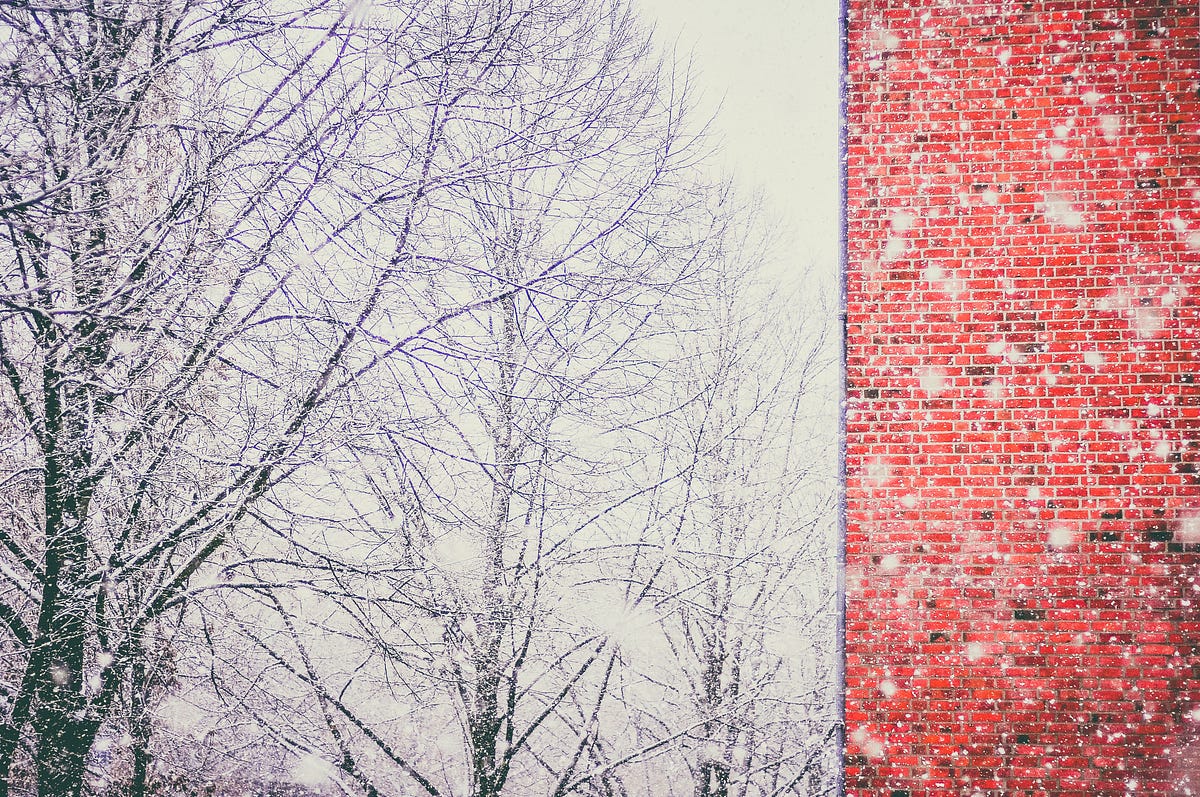 I Love the Feel of Snow Trickling Down My Spine | by Joey | Medium
