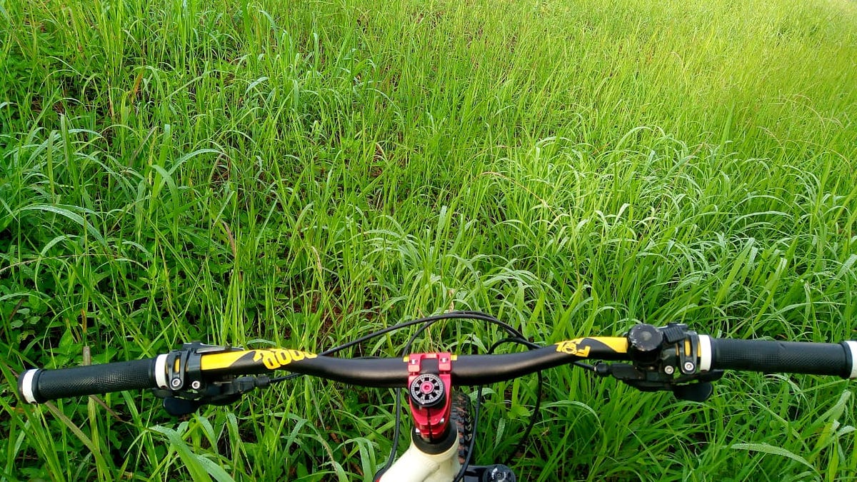 5 Km A Day Cycling Wakes Up Early In The Morning Gives You By 5 Km A Day Cycling Wakes Up Early In The Morning Gives You By