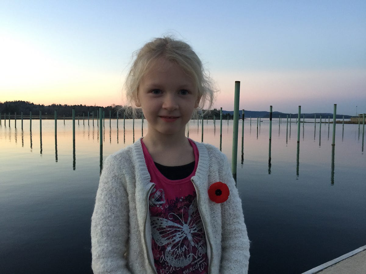 My 6 Year Old’s Explains the Remembrance Day Poppy. | by Greg Hemmings ...
