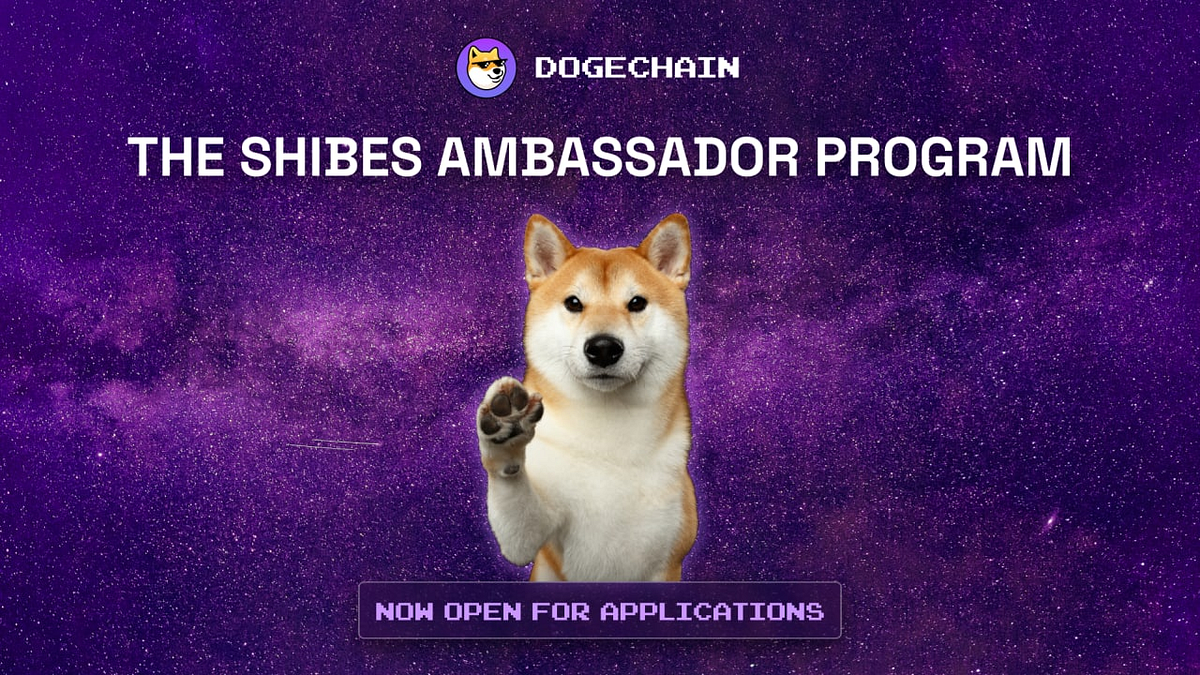 Introducing the Shibes Ambassador Program | by Dogechain Family | Nov ...