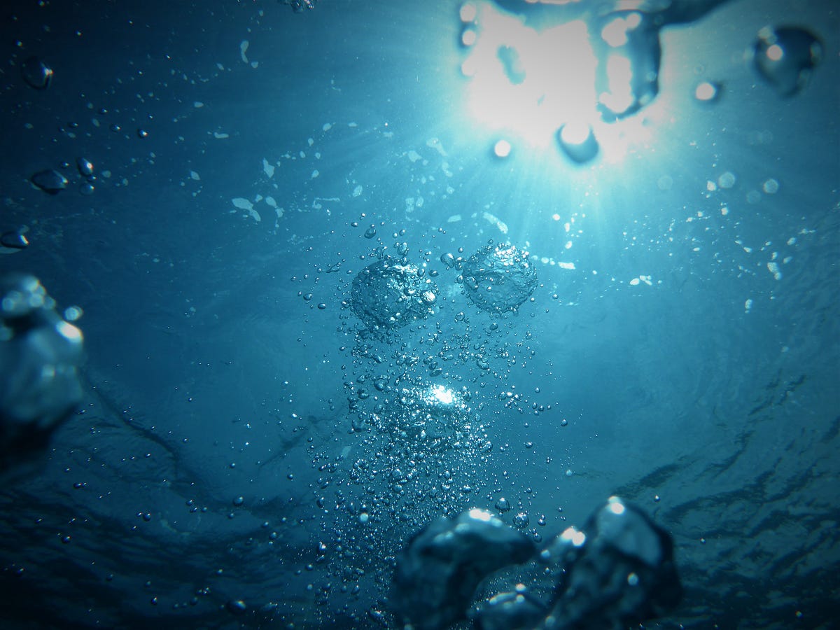 what-is-the-blue-mind-and-why-are-humans-drawn-to-water-by-susan