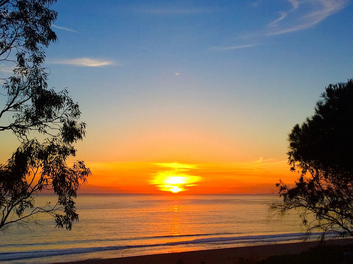 goodbye photos.. It started with decluttering and… | by june saruwatari ...