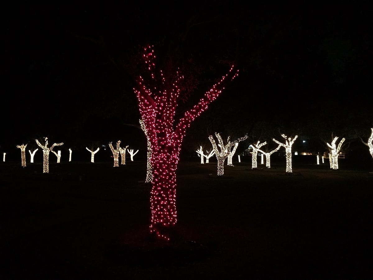 Christmas at NASA. After a 15 hour day that began with a… | by Robert ...