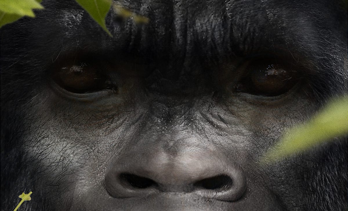 WHAT’S A BIGFOOT?. WHAT’S A BIGFOOT? In 1958, “big foot”… | by David ...