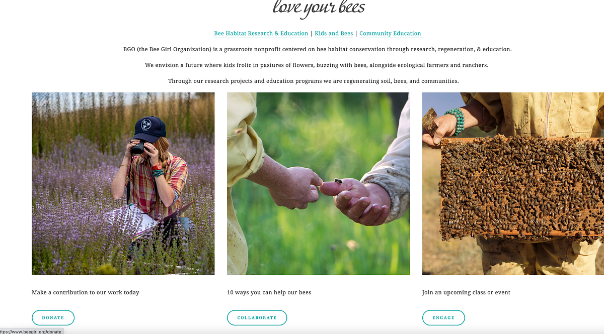 How 2 Lines of Python Saved Hours of Manual Data Entry & Saved Bees ...