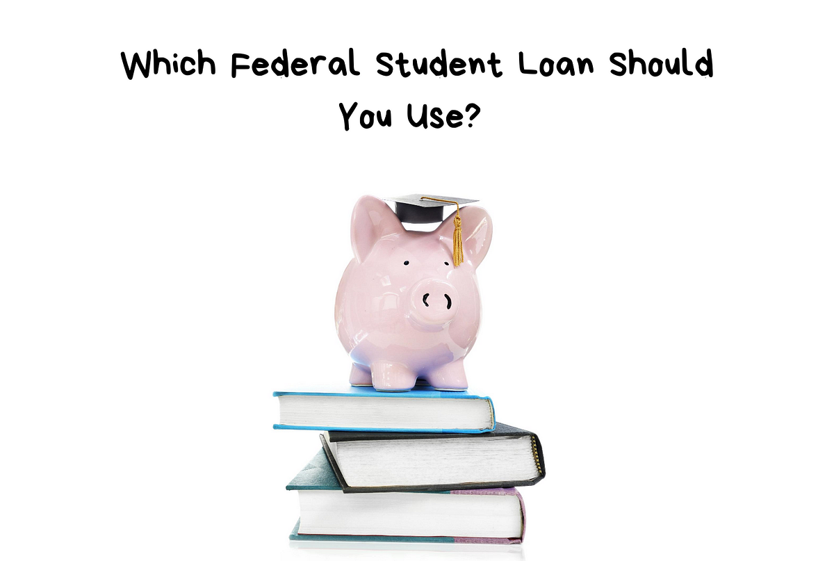 Your Guide to Different Types of Federal Student Loans | by Meratas ...