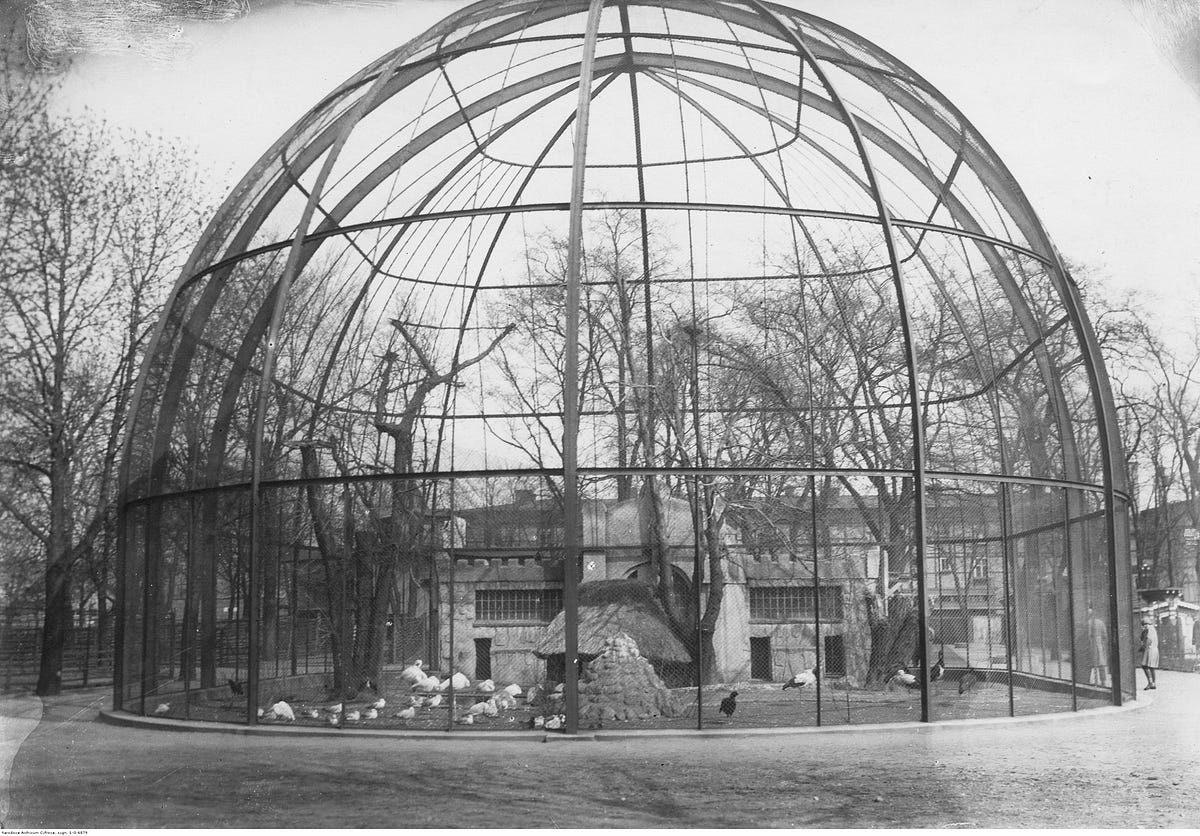 A visit to the Old Zoo. The urban legend has it that the Old… | by ...