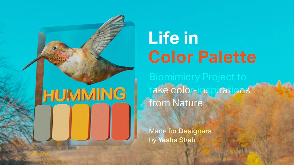 Life in Color Palette: Use colors from nature in your project | by ...