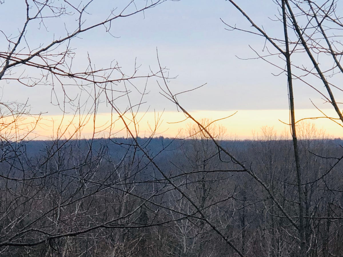 Hope. Haiku | by JA Wertz | birds & rivers | Medium