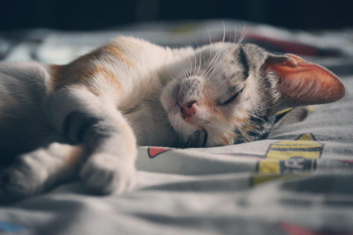 10 Ways To Occupy Your Busy Mind When Trying to Sleep | Medium
