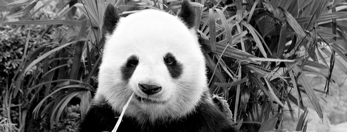 Creating Non Numeric Pivot Tables With Python Pandas Recipe Two By